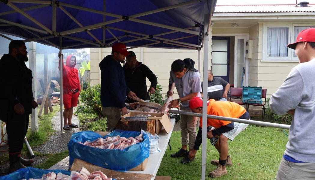 Ministry for Pacific Peoples — Food, music, and storytelling promote ...